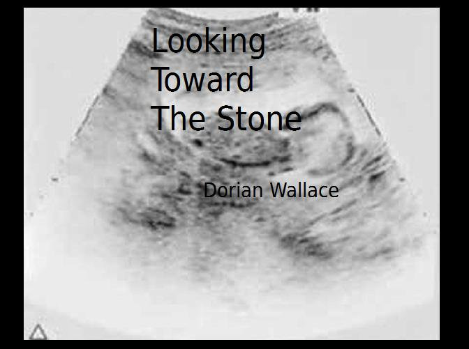 Looking Toward The Stone | Dorian Wallace