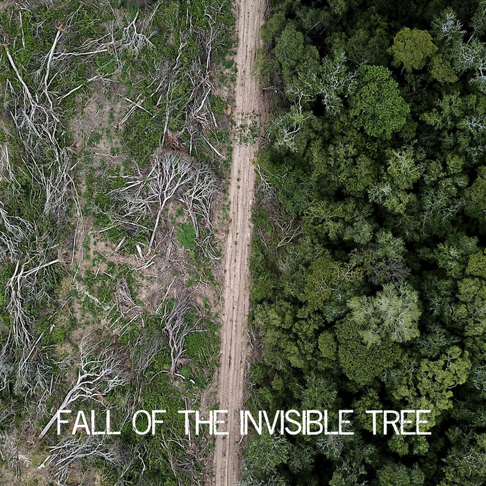 Fall Of The Invisible Tree | Brgstime