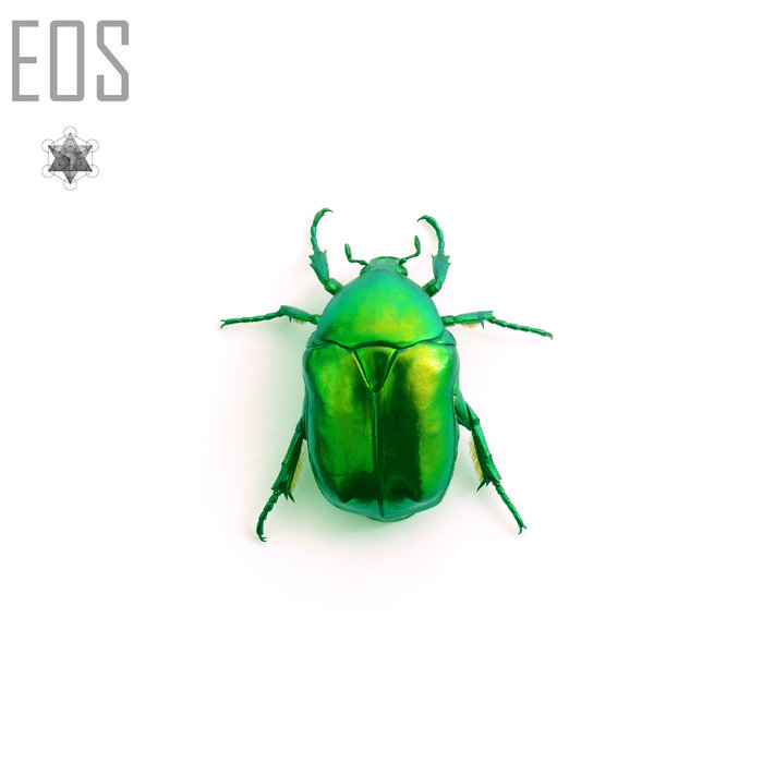 AtOnement (feat. Chances R Good Brother) | Fresh Sage | TZA