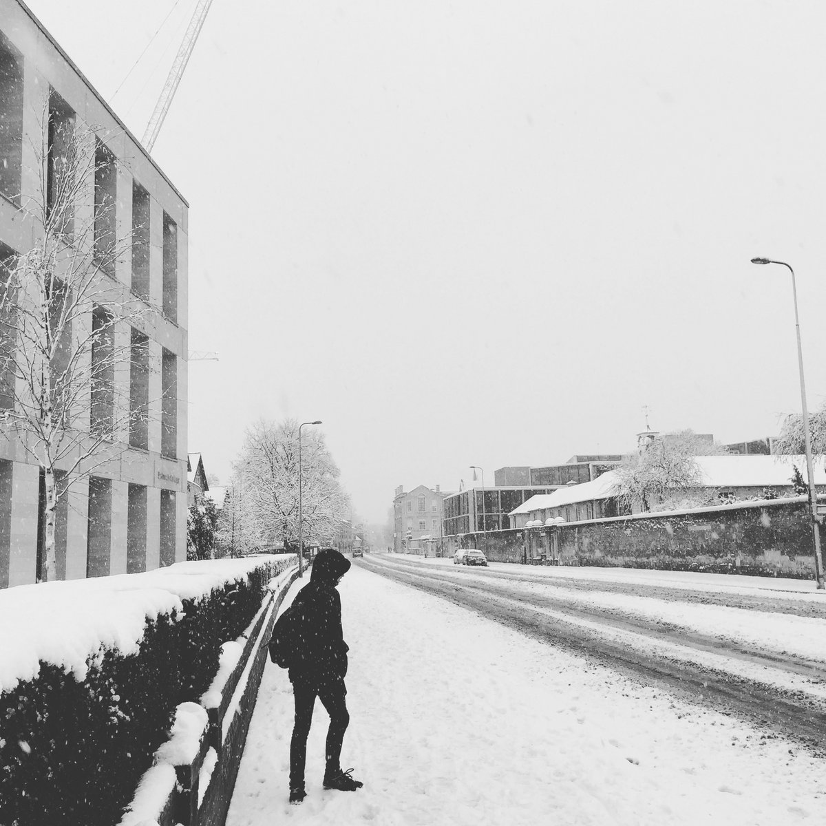 A Christmas Song With No Cheer | Robin Allender