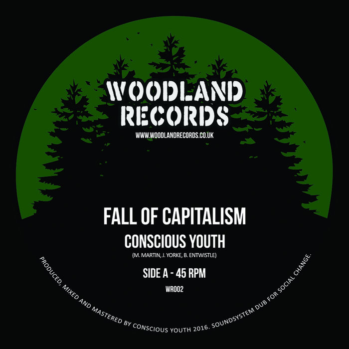 Fall of Capitalism | Conscious Youth