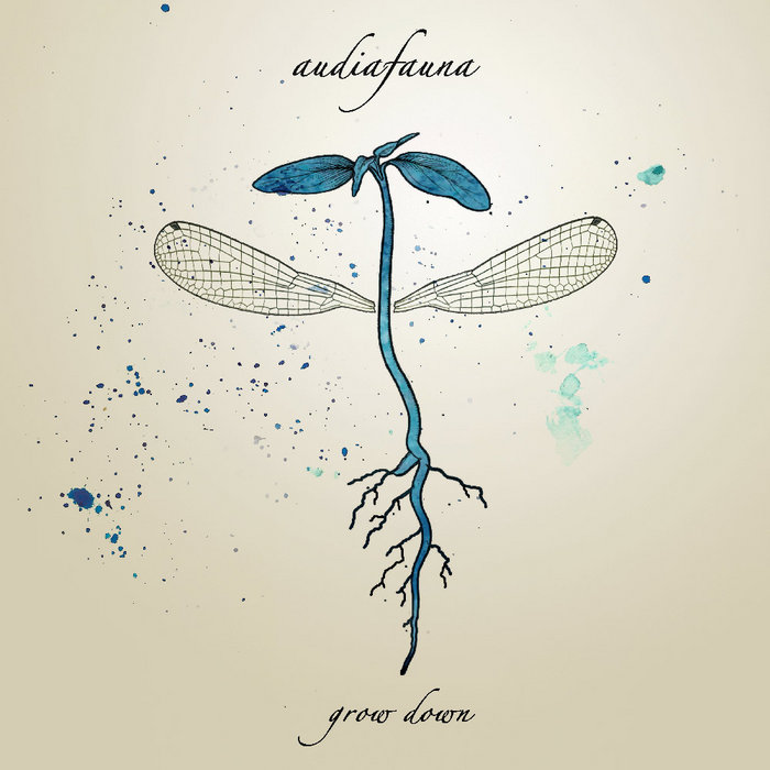 Grow Down | audiafauna