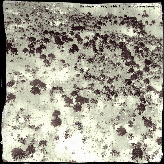 the shape of trees, the blank of mirror | Steve Tromans | SOUND-ART ...