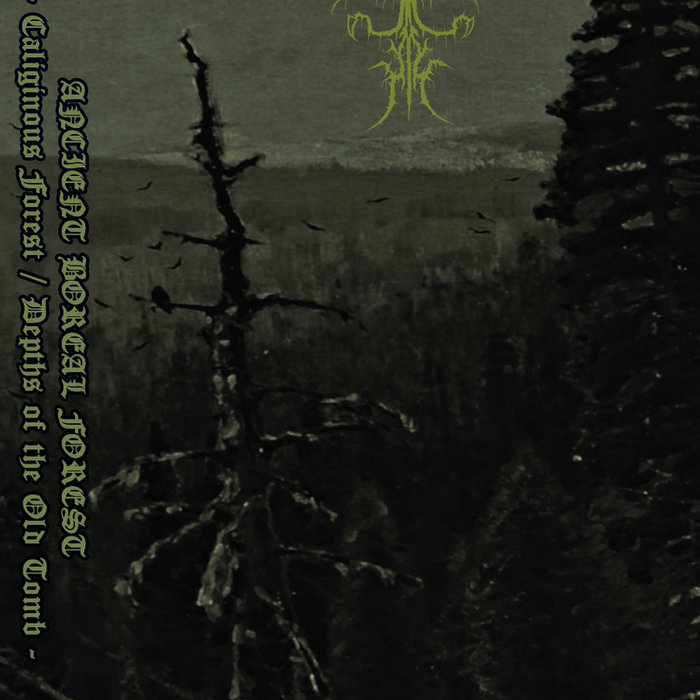Caliginous Forest / Depths of the Old Tomb | Ancient Boreal Forest ...
