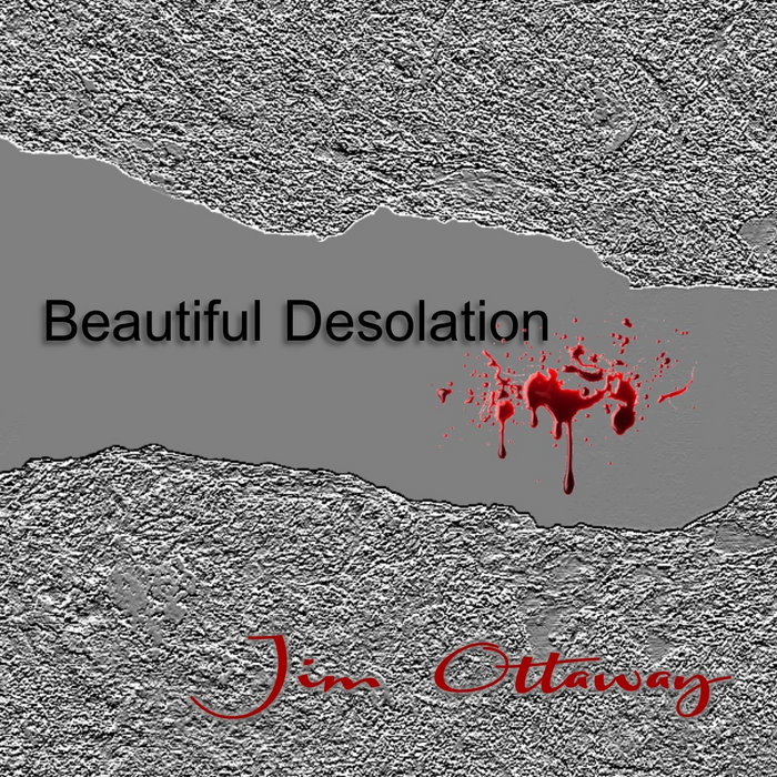 Beautiful Desolation | Jim Ottaway
