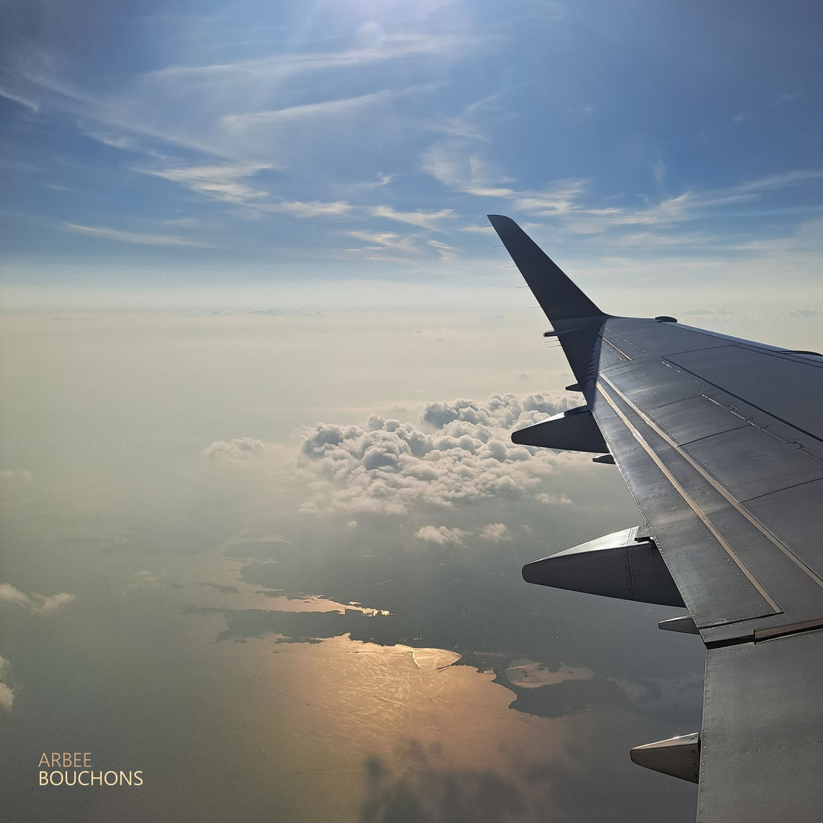 Bouchons | Arbee | arbee