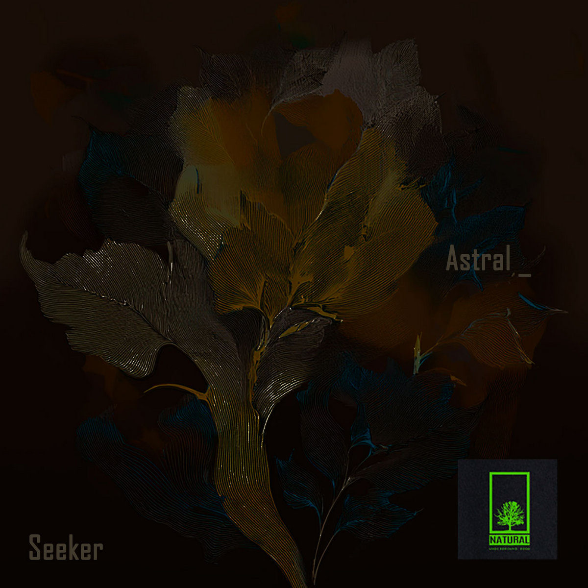 Astral | Seeker (COL) | Natural Underground Room