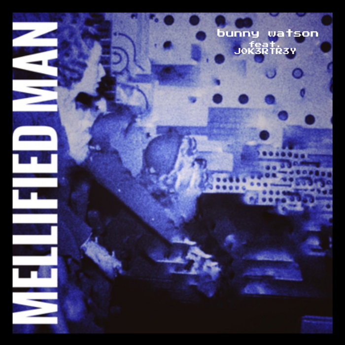 bunny watson | Mellified Man, J0K3RTR3Y | Mellified Man