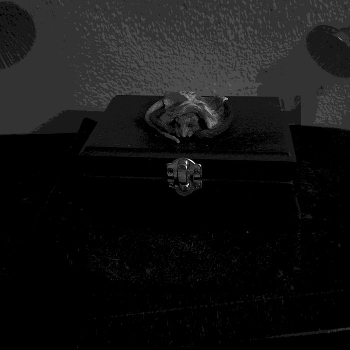 Coping | Shadow Driver