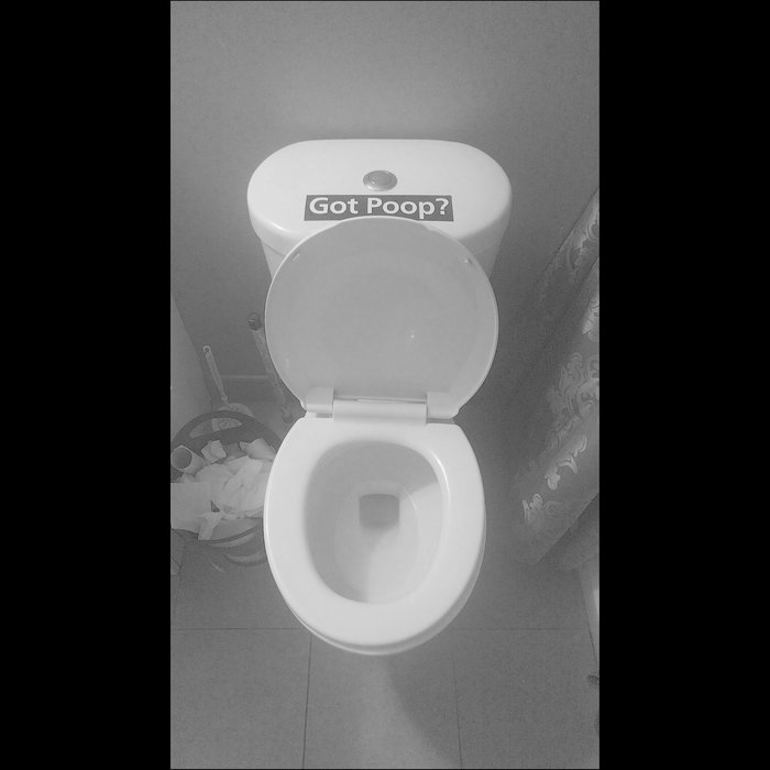 GOT POOP? | NILBOG
