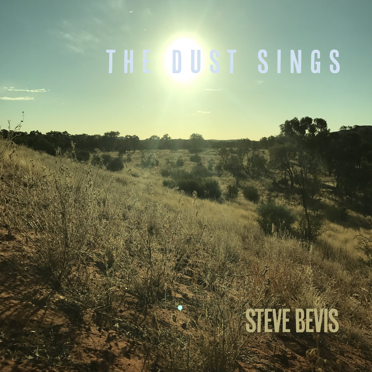The Dust Sings | Steve Bevis