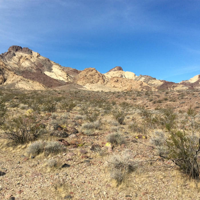 A Fallen Angel Franchise (for JD) | Trace Hints