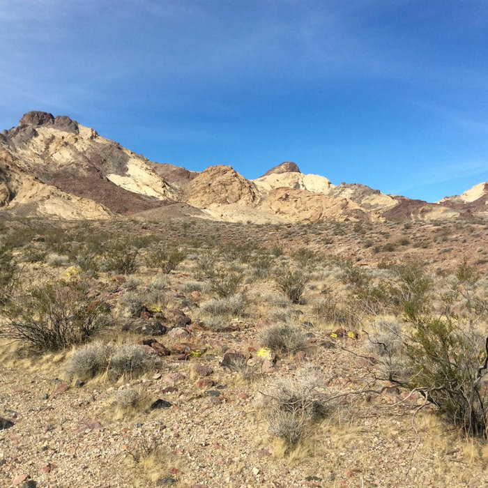 A Fallen Angel Franchise (for JD) | Trace Hints