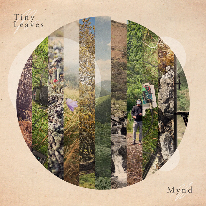 Mynd | Tiny Leaves