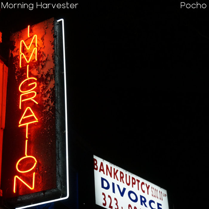 Pocho | Morning Harvester