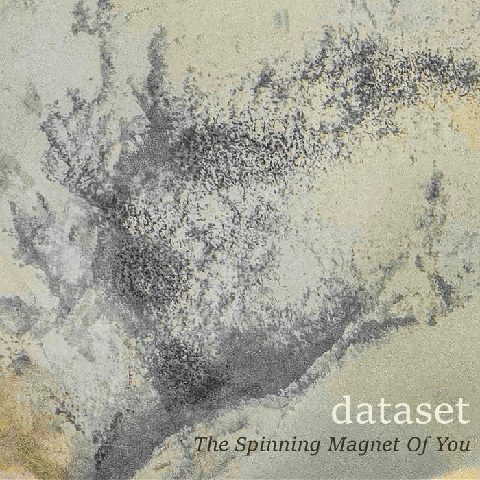 The Spinning Magnet Of You | Dataset
