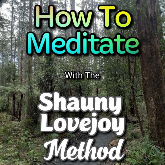How To Meditate With The Shauny Lovejoy Method | Shauny Lovejoy Method