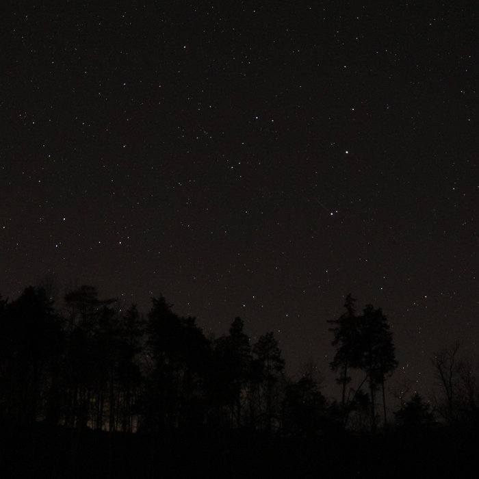 Cold Quiet | Cove High