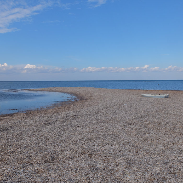 AMURI E SPIRANZA | PIERRE VAIANA