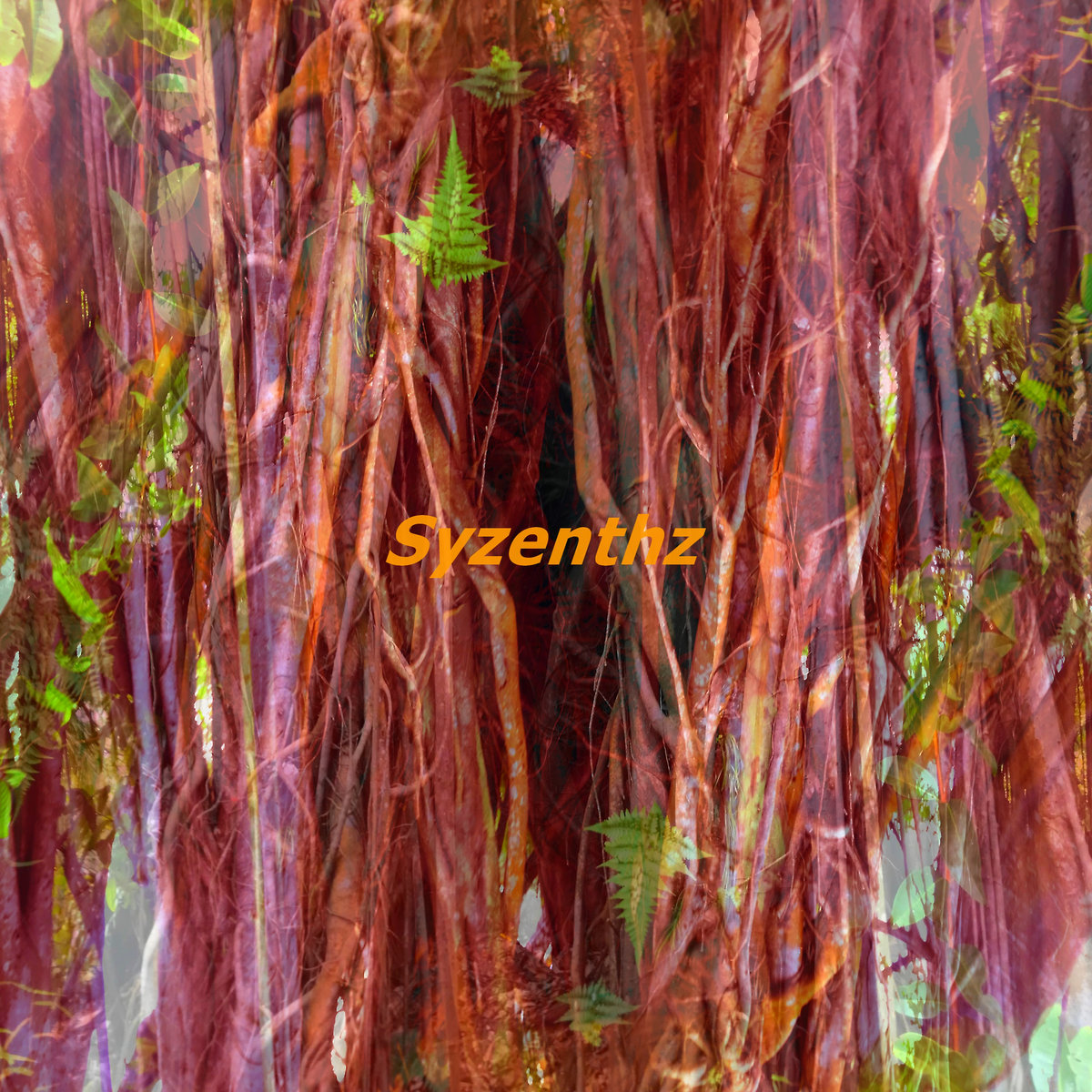 Syzenthz | Alex Tseng
