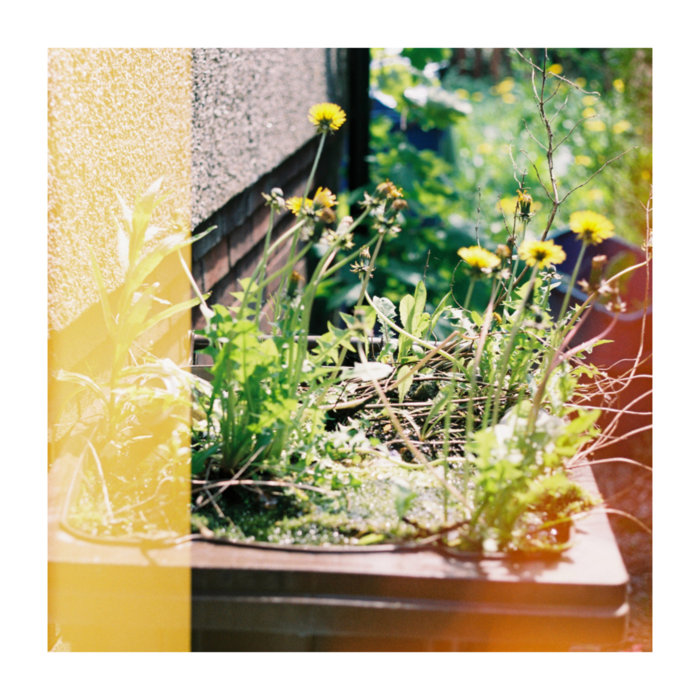 Ruminations: Part 02 | Green Mountains Walk