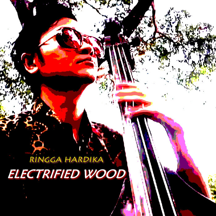 Electrified Wood | Ringga Hardika