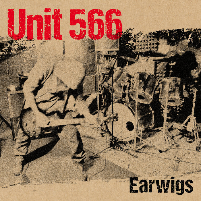 Earwigs | Unit 566