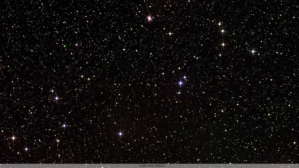 Pull me to my feet | Colin Rugg | Kolbfleisch