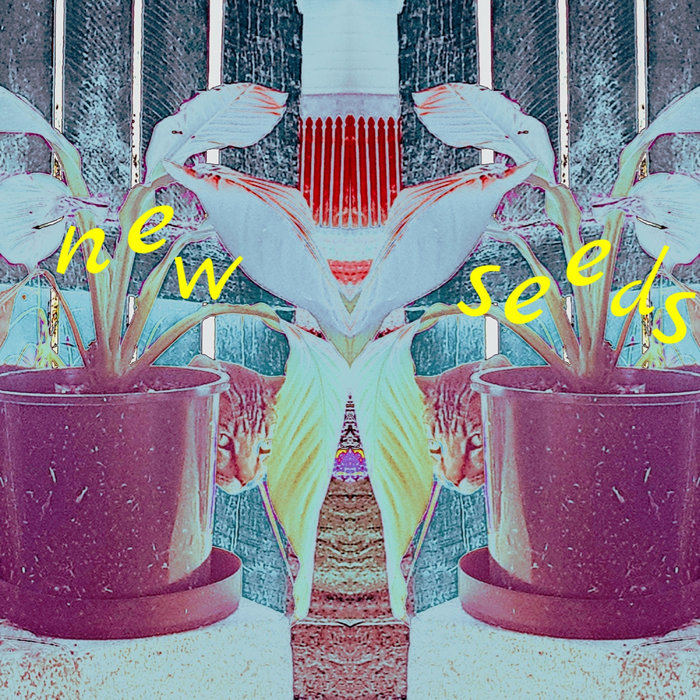 New Seeds | Apples In Bed