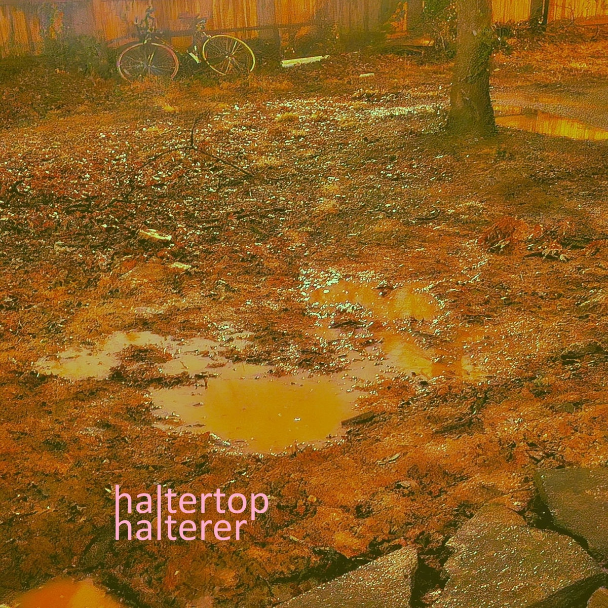 Halterer | Haltertop