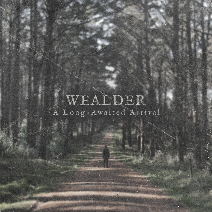 A Long-Awaited Arrival | Wealder