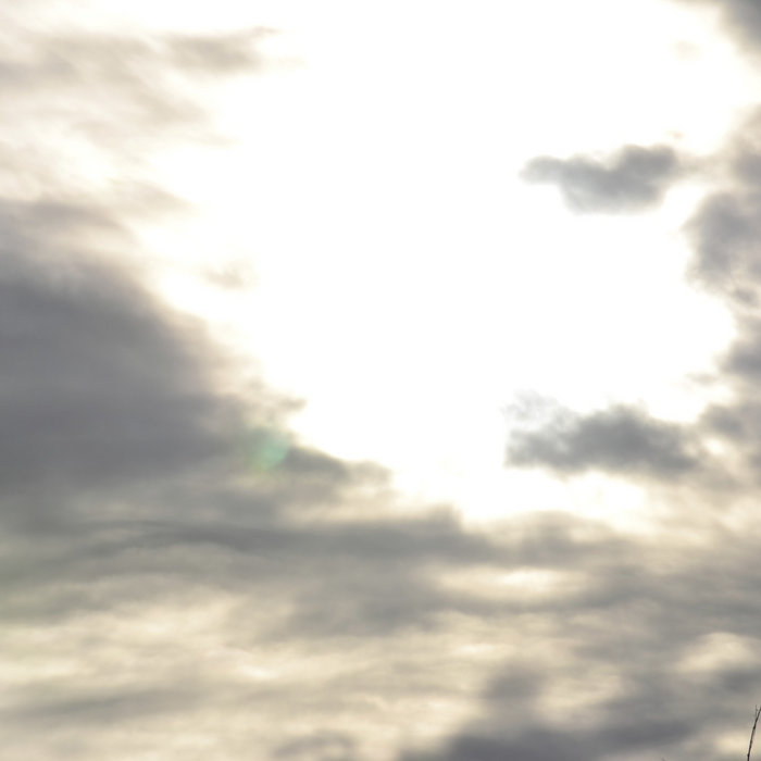 Long Way From Home | Warren Tucker