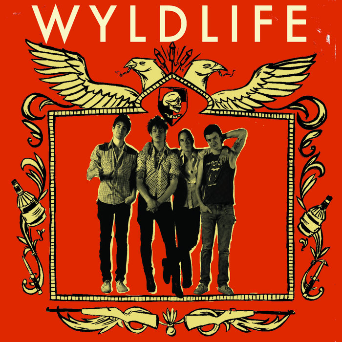 WYLDLIFE | WYLDLIFE