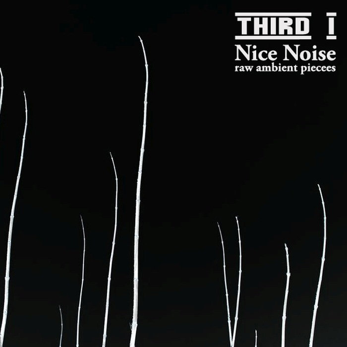 Nice Noise [SSR - RR - 0019] | THIRD I | Splitting Sounds Records