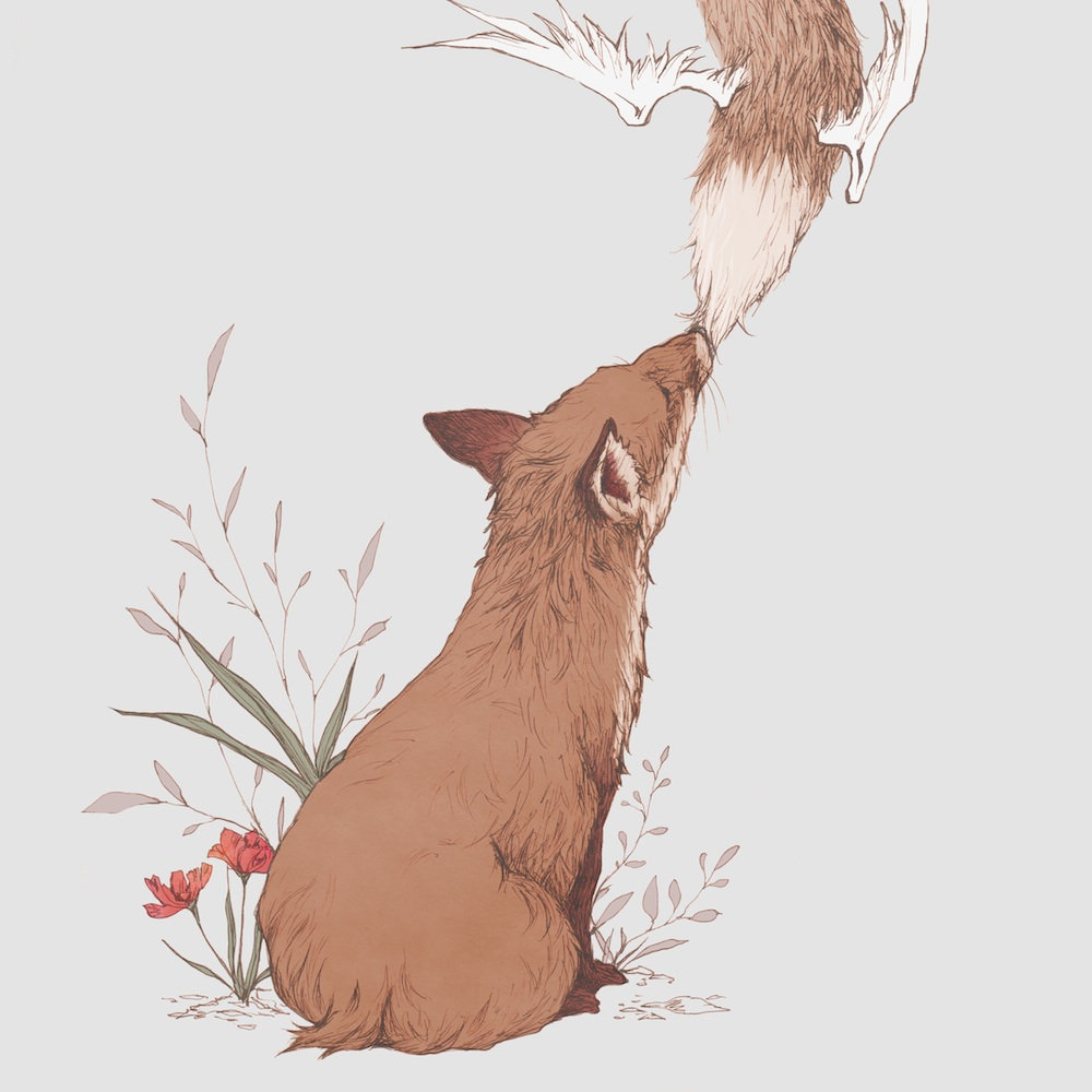 The Fox Without a Tail | Juniperus