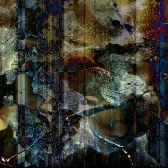 wire | veils
