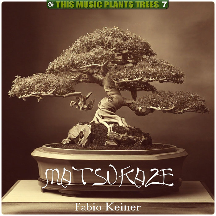Matsukaze | Fabio Keiner | This Music Plants Trees