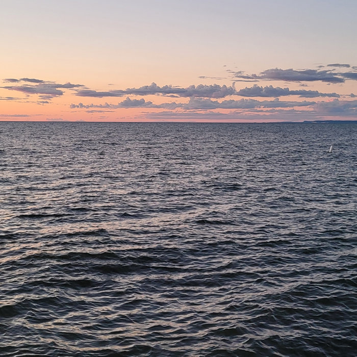 Michigan | Vanishing Mist