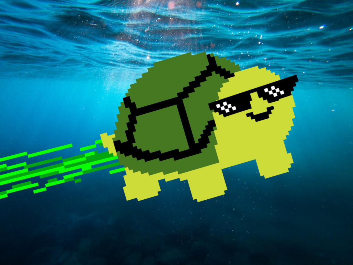 Turtle Run | RedoLedo