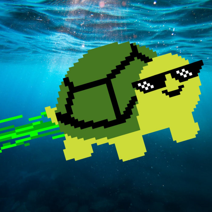 Turtle Run | RedoLedo