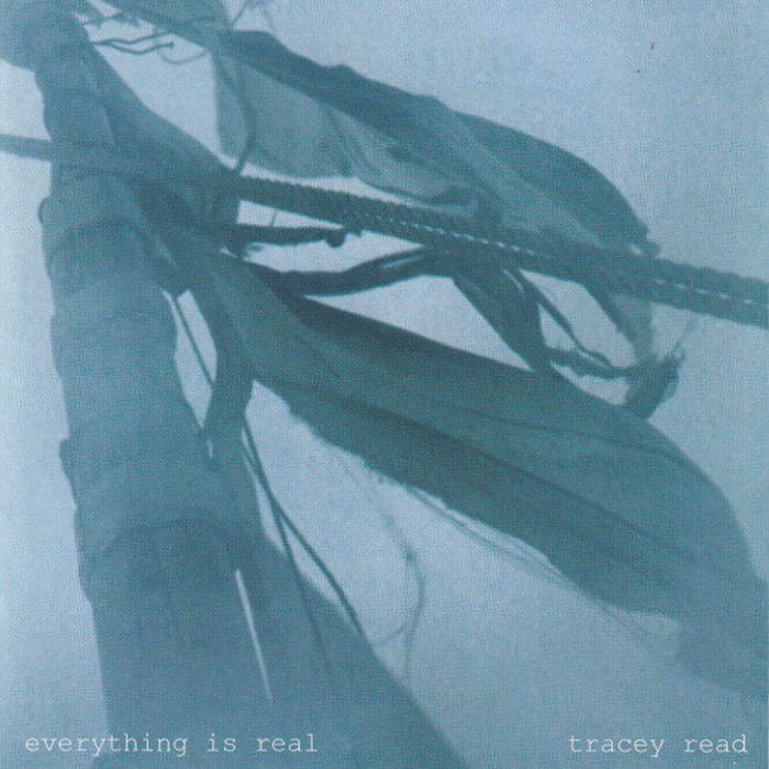 Everything Is Real | Tracey Read