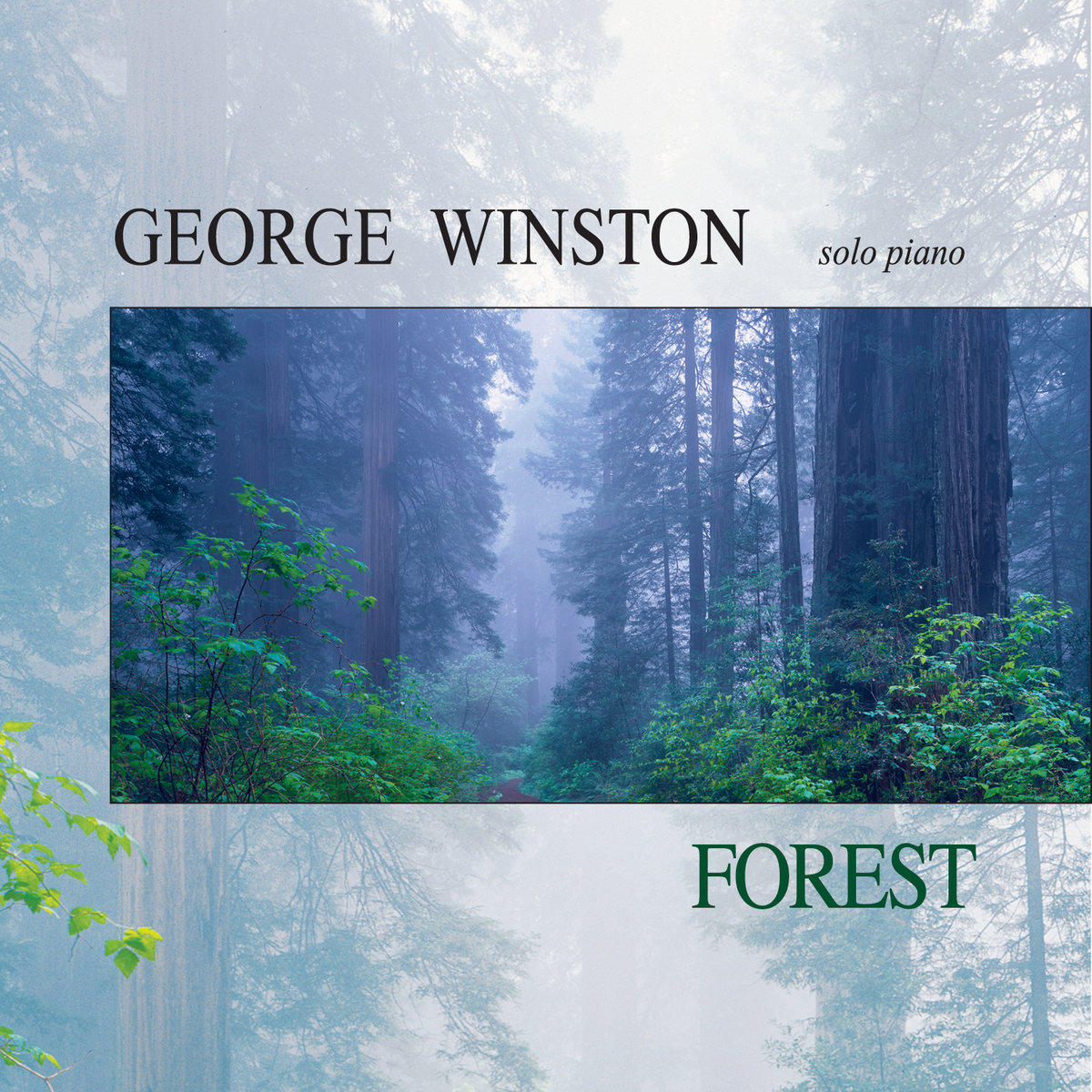 Forest | George Winston | Dancing Cat Records