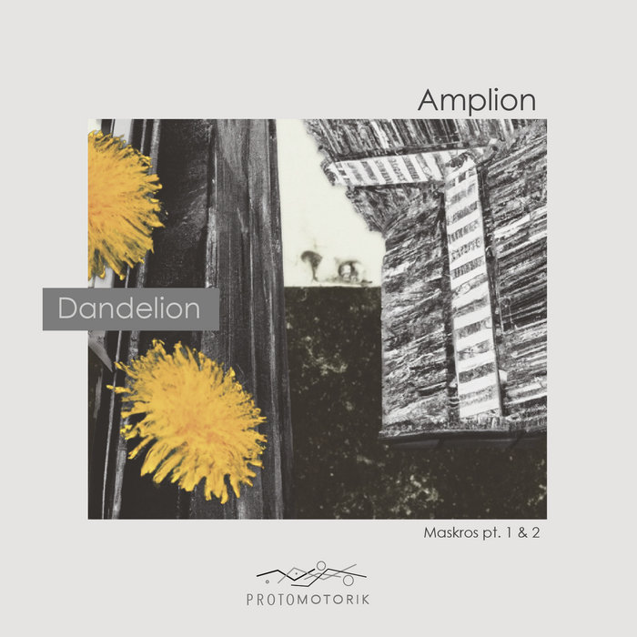 Dandelion | Amplion | Protomotorik Records