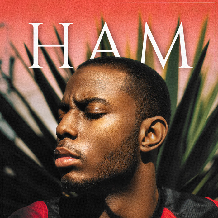 Role Model Remix | DJ Ham | Dj Ham