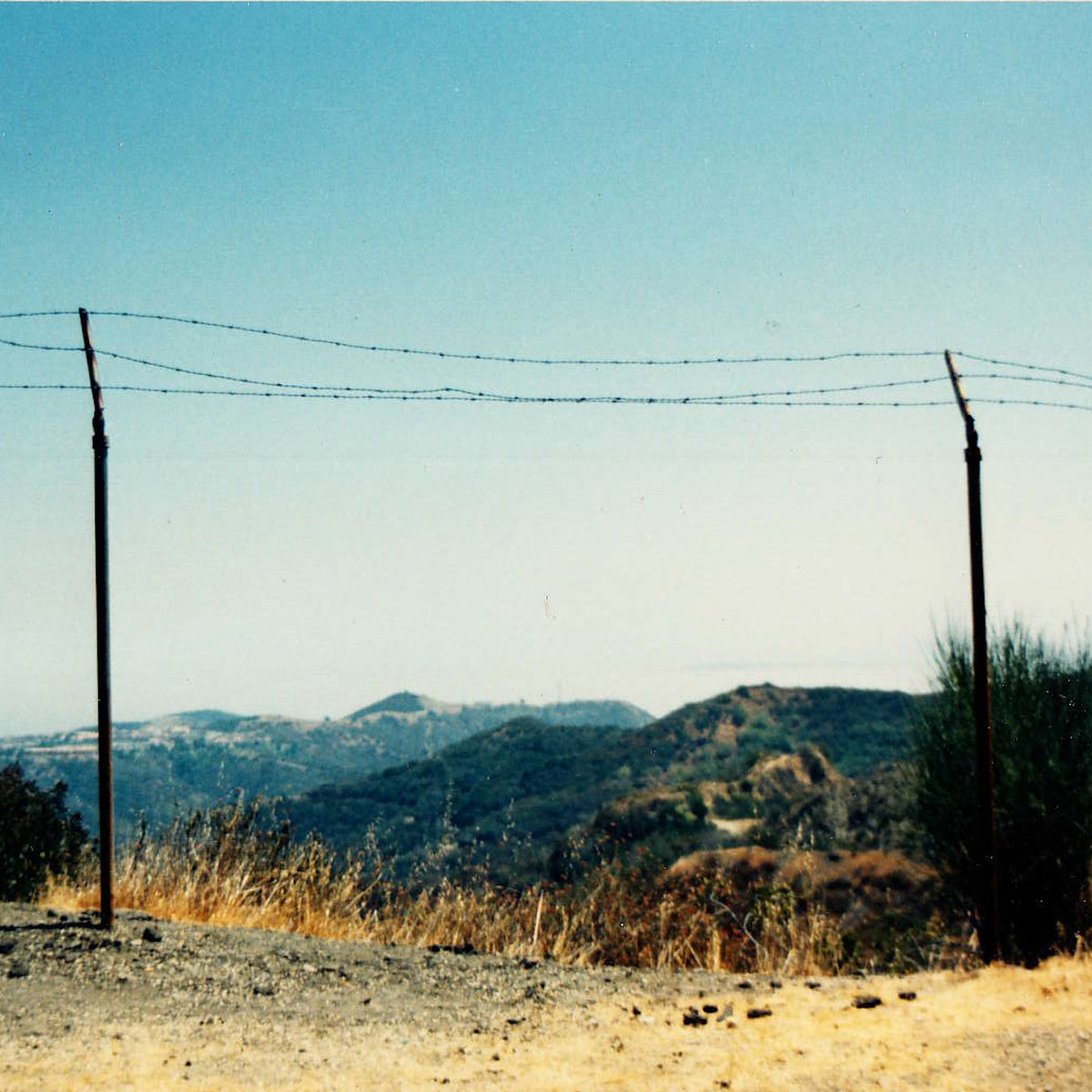 Strands | David Martinelli