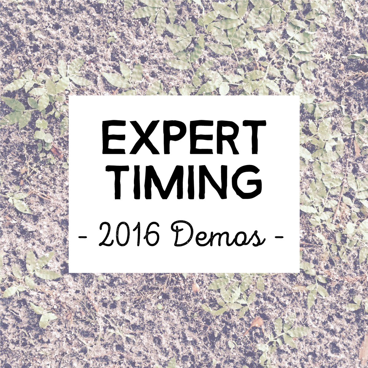 2016 Demo | Expert Timing