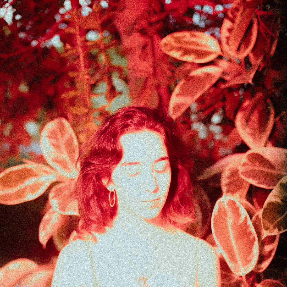 Forest / Demo | Lys Morke