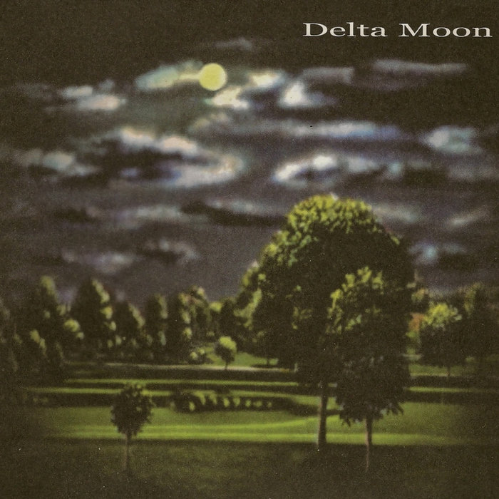 You Can't Make Somebody Love You | Delta Moon