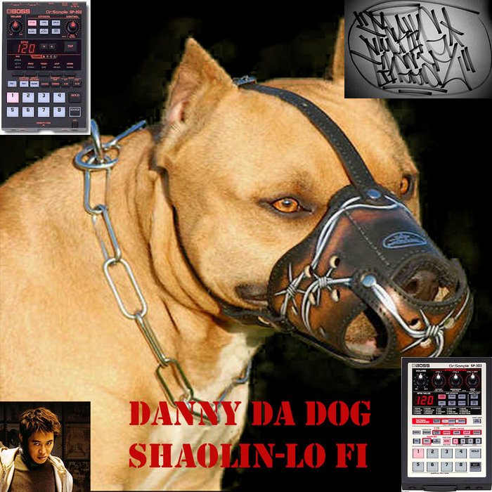 Shaolin Lo Fi | El perro (danny da dog)