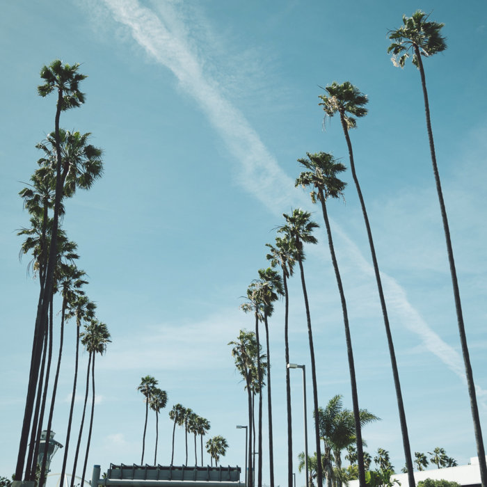 For Love | Jeff Kaale